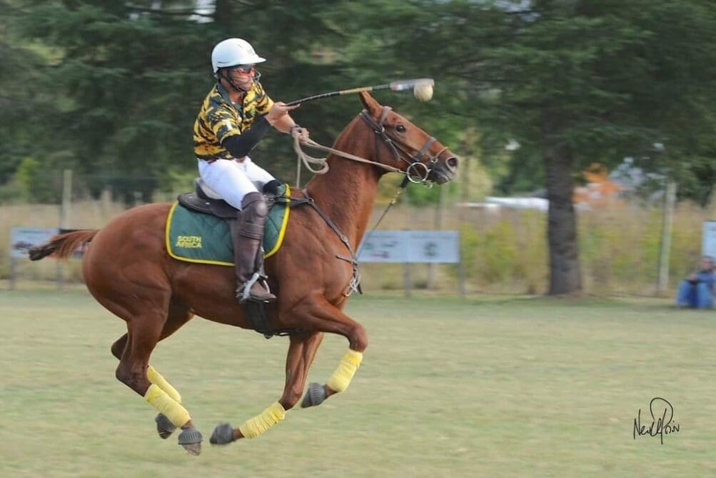 Polocrosse Sponsorship 2024 | Eurosteel